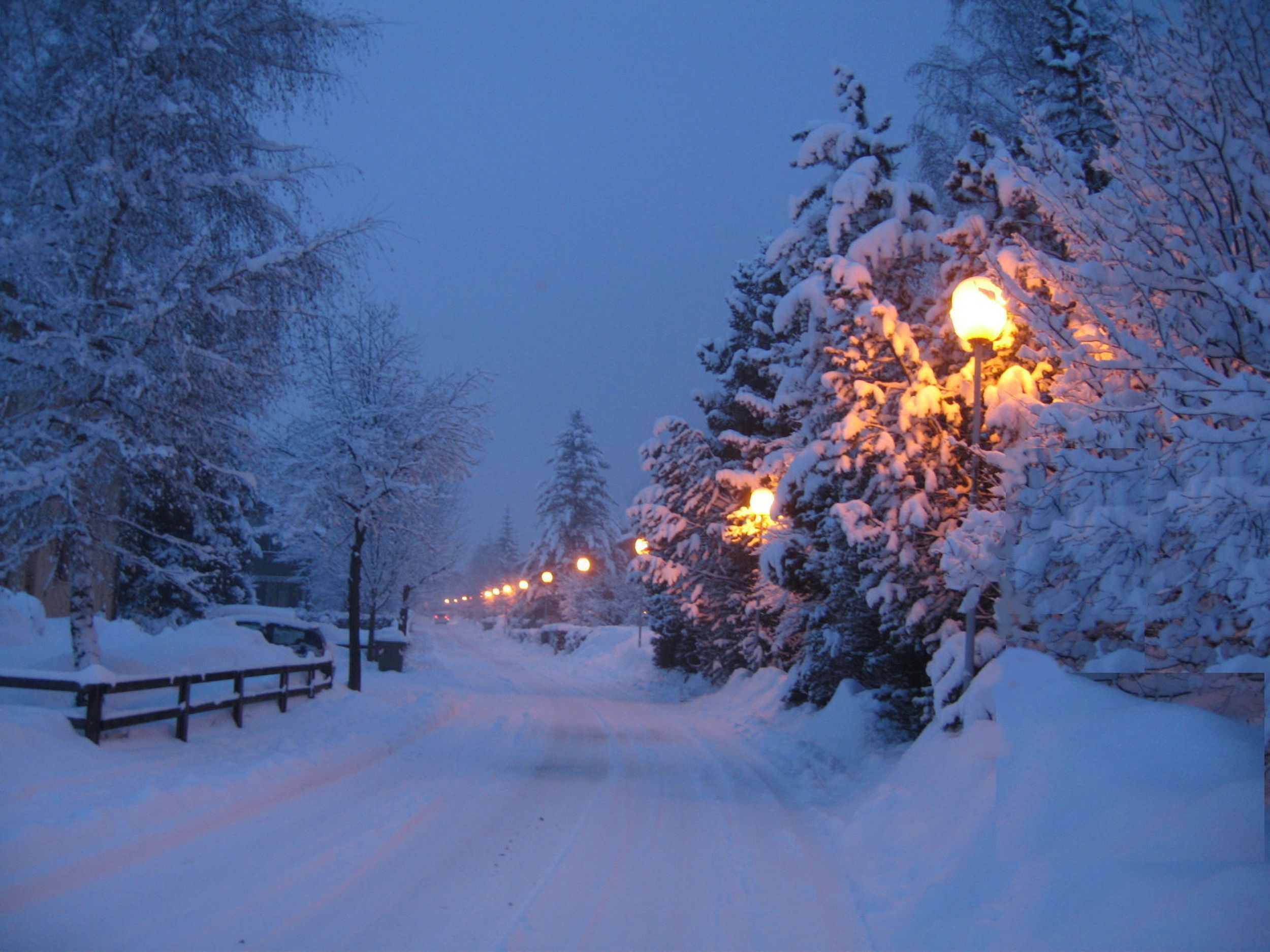 Passo Brocon Lagorai